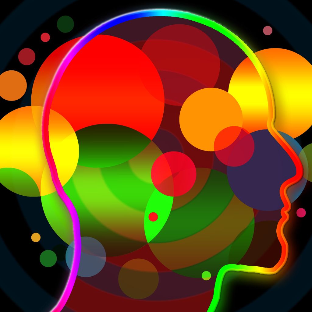 Is Memorization A Necessary Precondition Of Understanding 