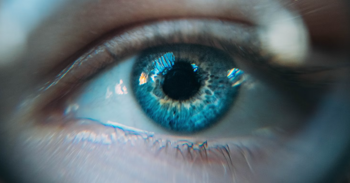 Can’t Comprehend Without Subvocalization? Here’s What to Do! - Iris Reading