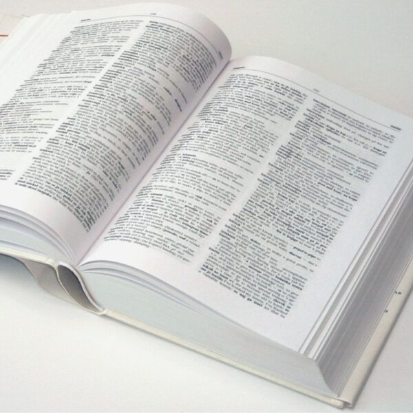 25 Long Words That Start With S (& Their Meanings) - Iris Reading